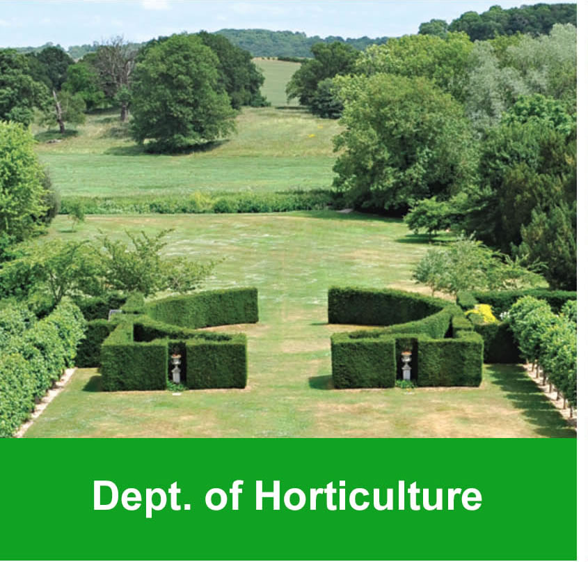 PLC Courses – Templemore College